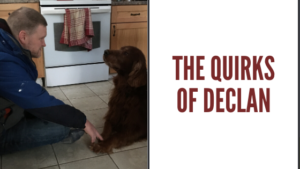 The Quirks of Declan - Hope Through Hard Times