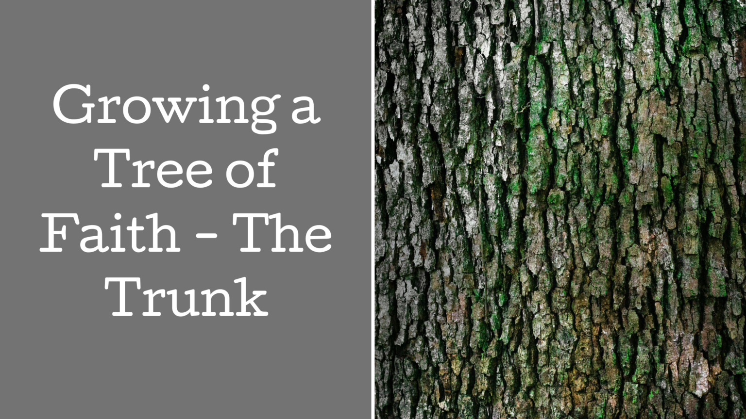 Growing a Tree of Faith – The Trunk - Hope Through Hard Times