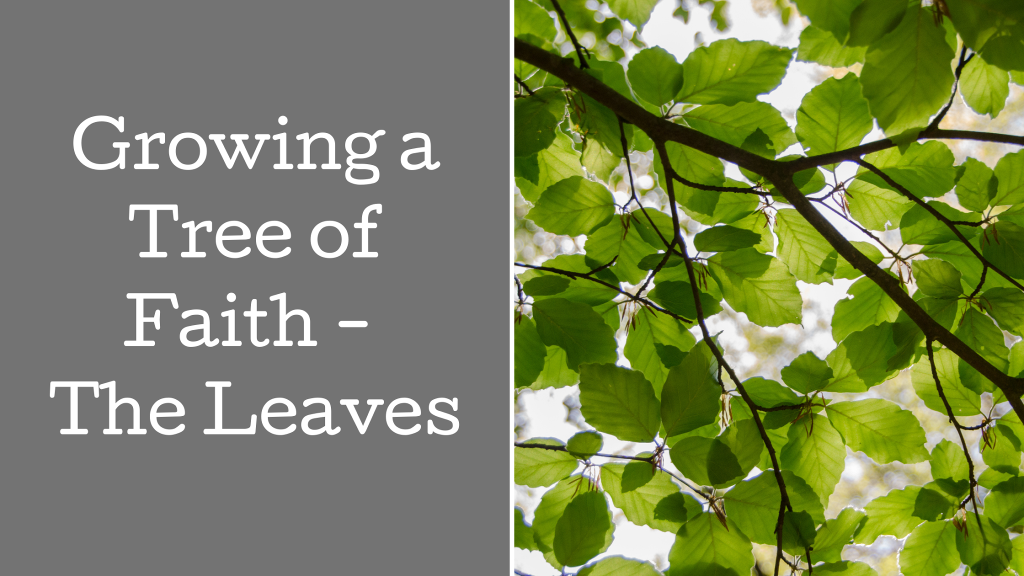 Growing a Tree of Faith – The Leaves - Hope Through Hard Times