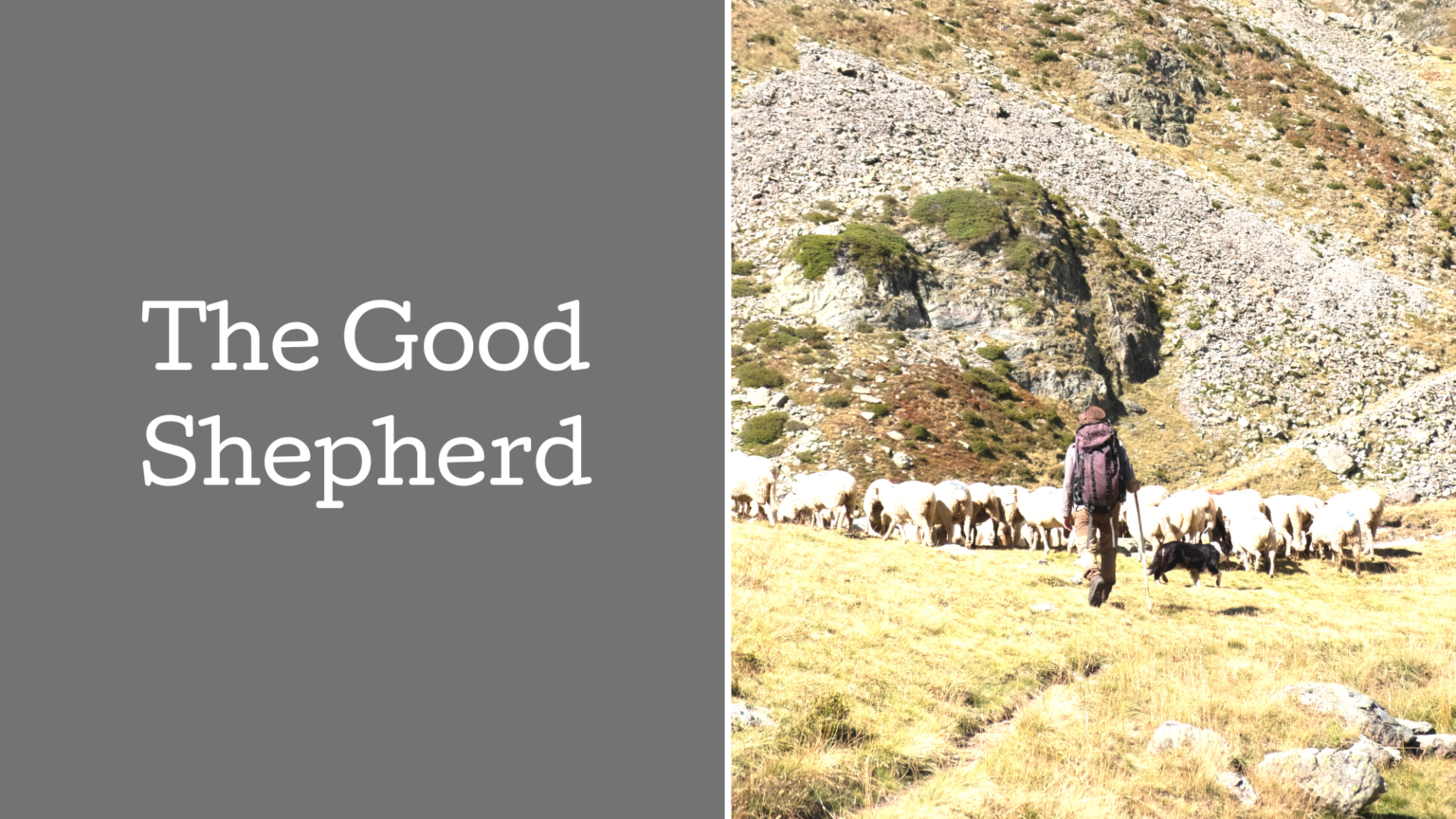 The Good Shepherd - Hope Through Hard Times