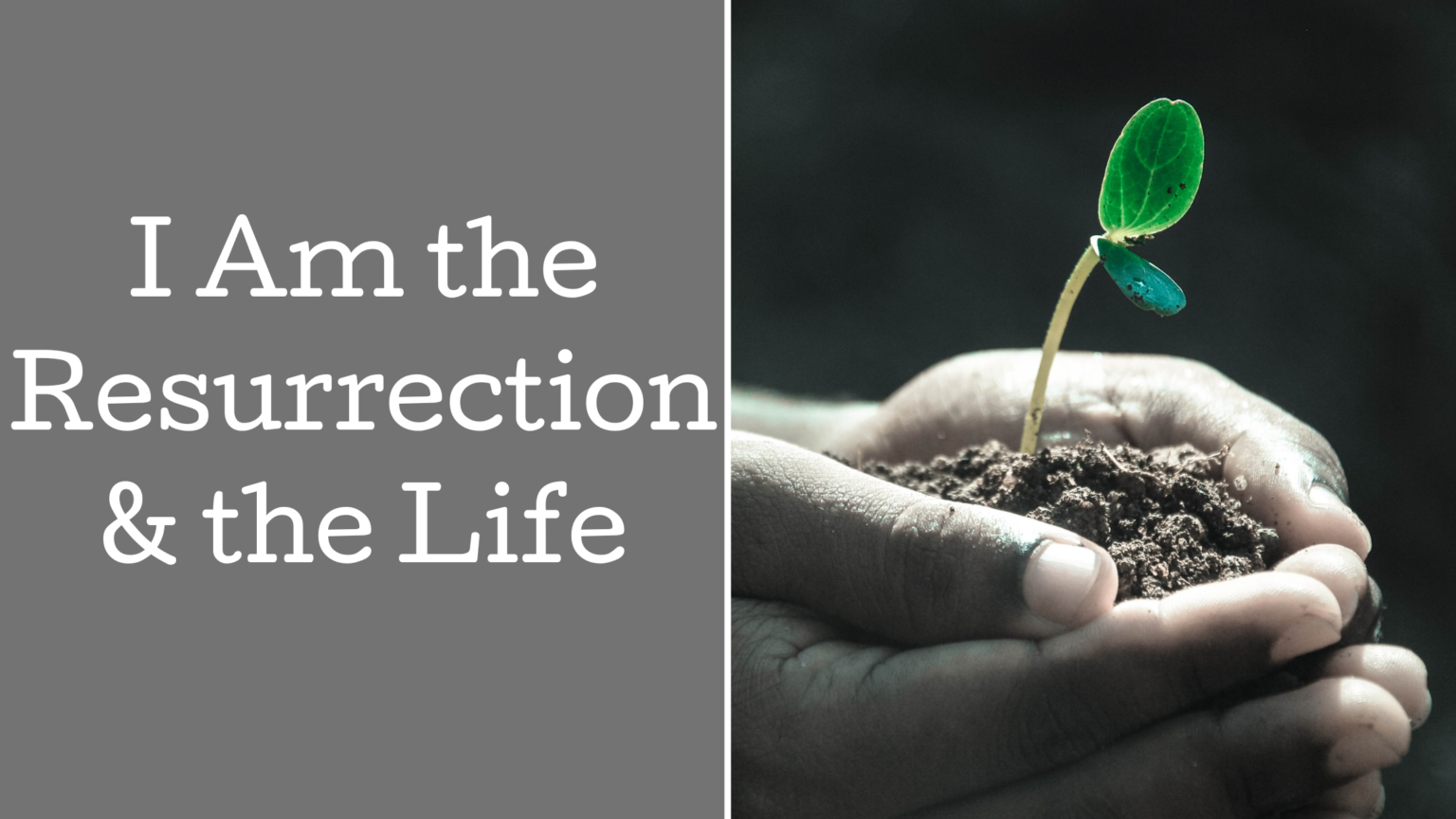 I Am the Resurrection & the Life - Hope Through Hard Times